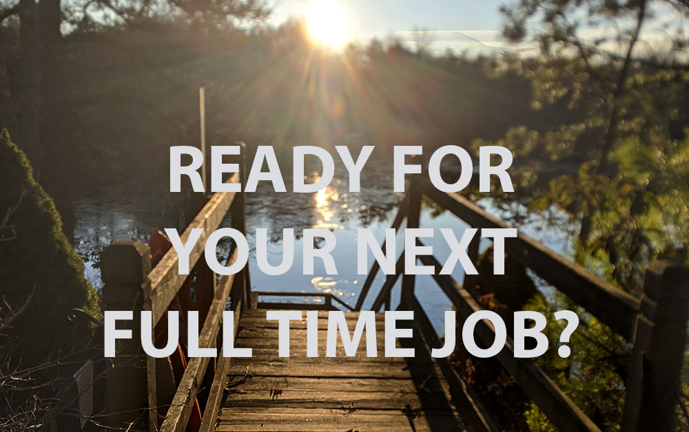 Ready for Your Next Full Time Job? - mentorDINO