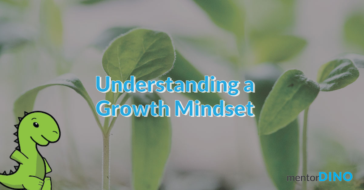 How To Understand A Growth Mindset